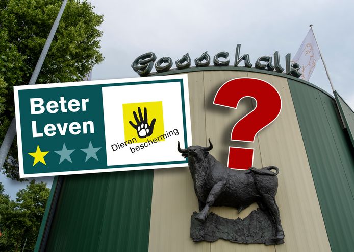 Slachterij Gosschalk ondanks misstanden zelf toezichthouder voor ...