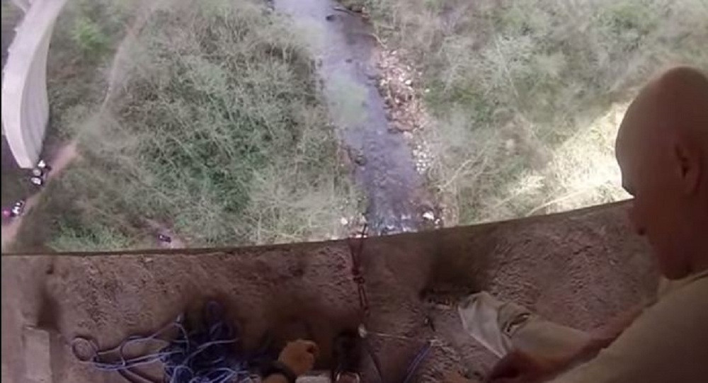 Verbijstering na fatale sprong Vera Mol | Foto | AD.nl