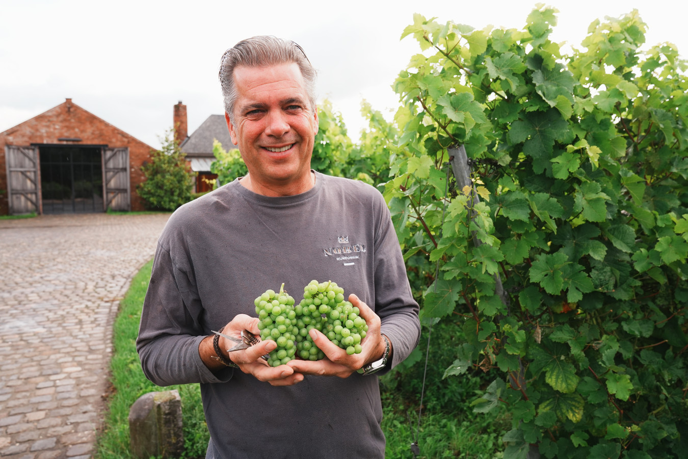 De helft minder aardappels, een derde graan verloren en de druiven ...