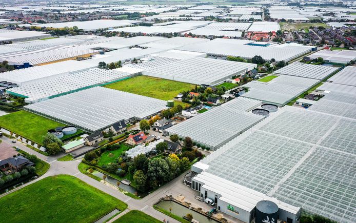 Gemeente betrapt tuinder tijdens grote controle: meer dan 200 ...