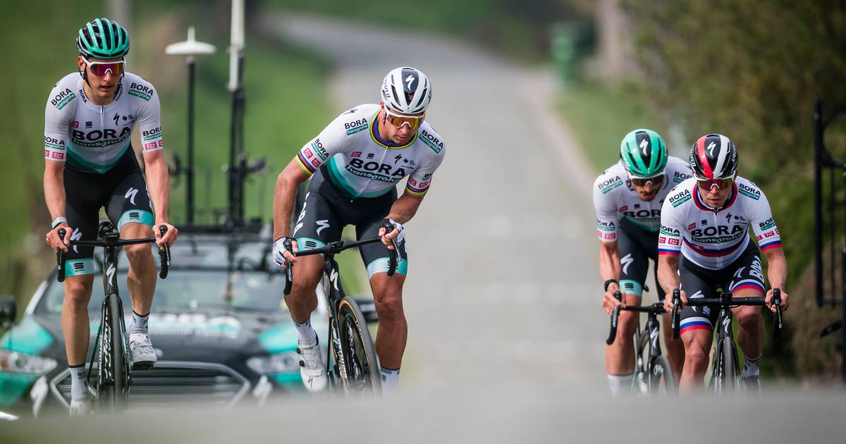 Ook oud-winnaar Peter Sagan verkent finale Ronde van Vlaanderen: “Hij ...