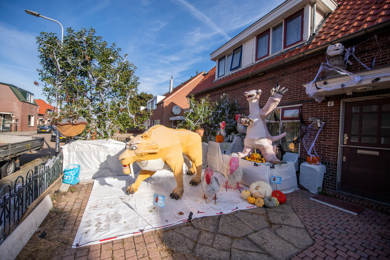 Ineens staat een Almelose volkswijk vol prehistorische dieren: ‘De ...