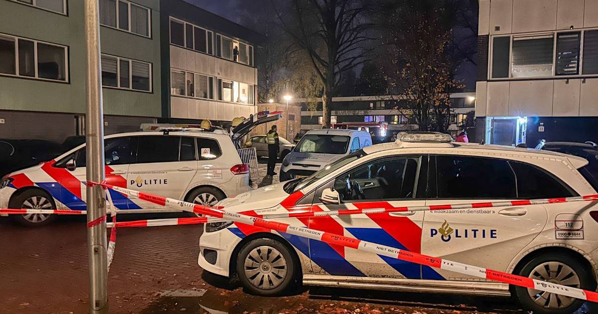 Verwarde man springt uit raam in Enschede | Enschede | tubantia.nl