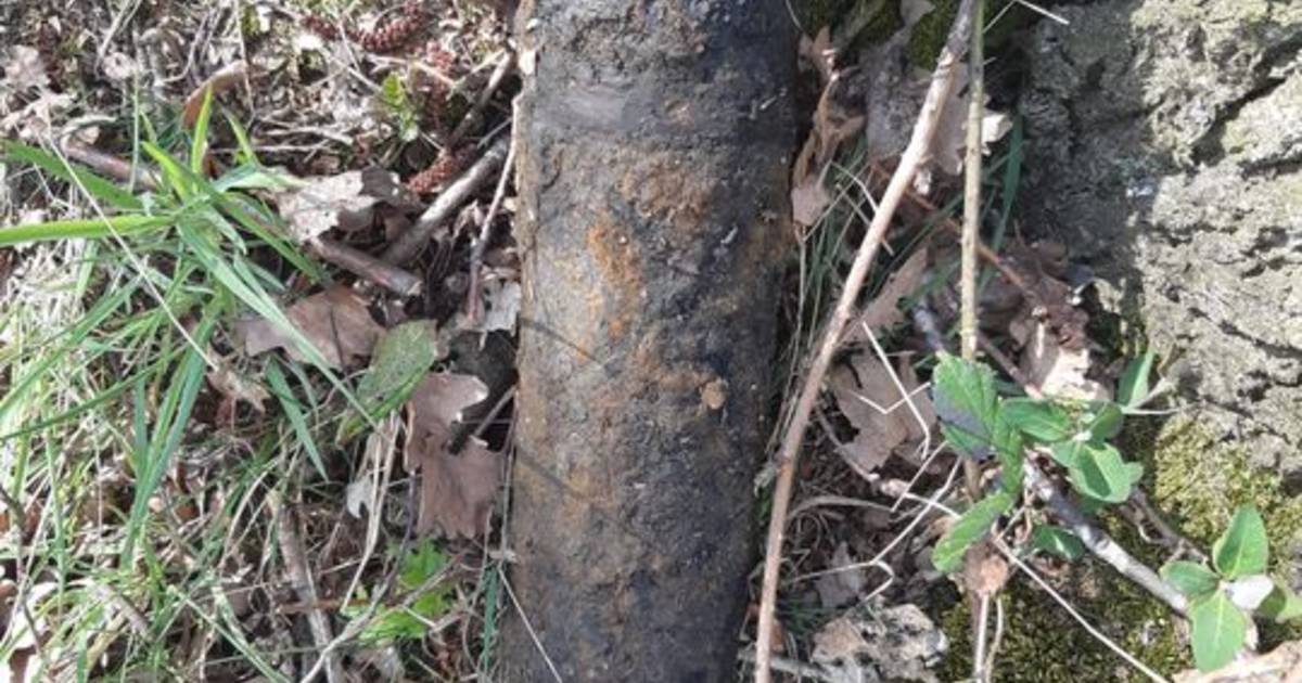 Opnieuw granaat gevonden in Twente: Magneetvisser (15) haalt explosief ...
