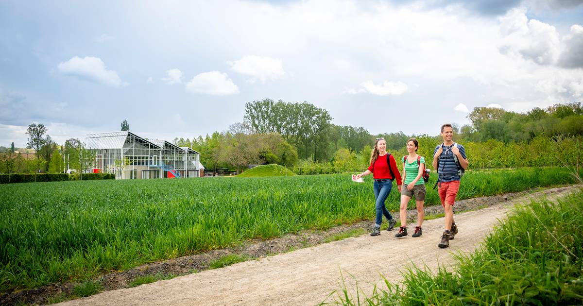 Infomarkt over Boerenlandschap Pajottenland | Gooik | hln.be