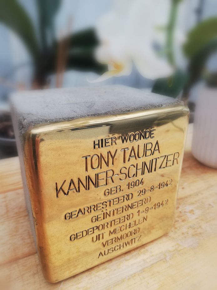 126ste Antwerpse struikelsteen herdenkt heldenmoed joodse verzetsvrouw Tony Tauba: “Moet stad ...