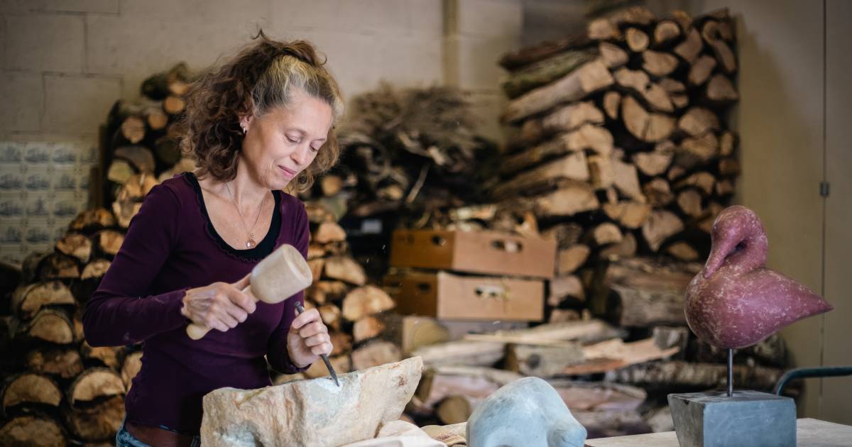 Zoektocht Danielle Coeterier uit Heeze stopte toen ze beeldhouwen ...