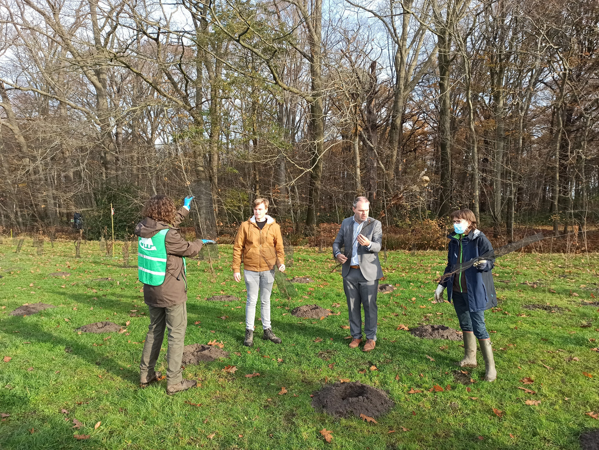 Evergem plant geboortebos aan met bijna 1.500 bomen | Foto | hln.be