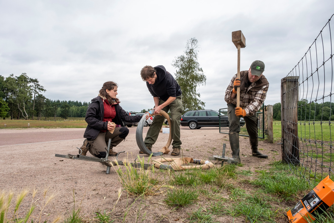 Jeffrey (49) uit Zutphen wil de wolf beschermen en is met nieuwe ...