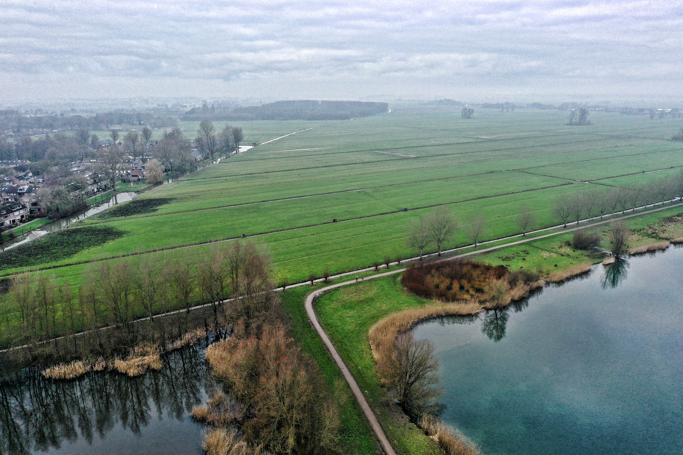 Woonwijk Rijnenburg dichterbij: D66 wil dat eerste huizen er over vijf ...