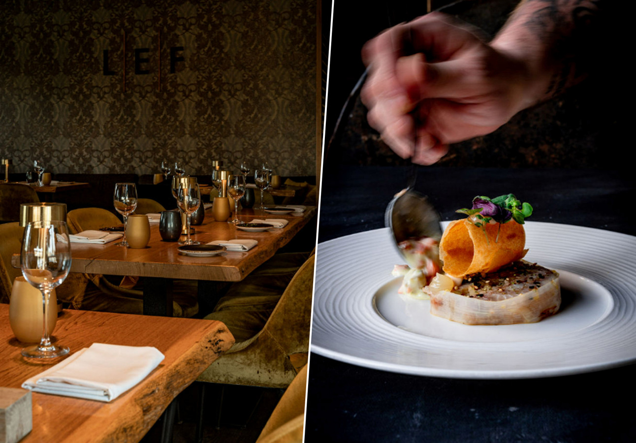 Van Pakhuis tot Nonam: in deze 7 restaurants in de regio Gent vier jij ...