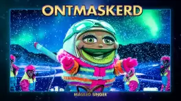 ONTMASKERD: Wie is Skiwi echt? - The Masked Singer