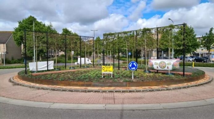 Alkmaarse en Haarlemse rotondes genomineerd voor titel ‘Mooiste rotonde ...