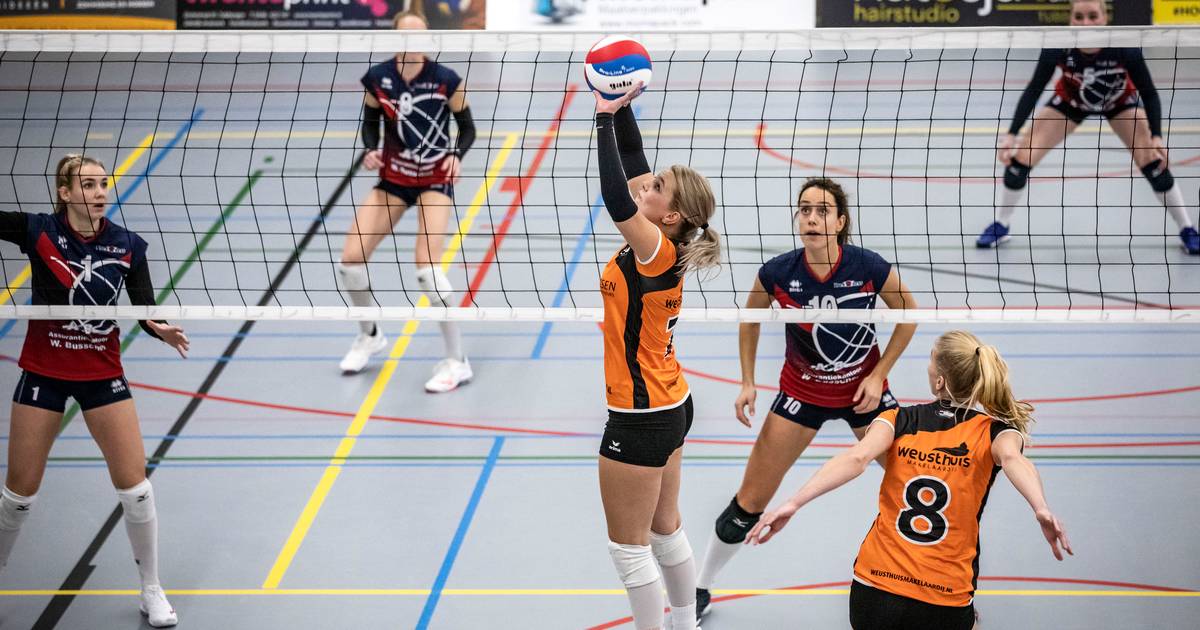 Uitslagen en verslagen volleybal: Dynamo klopt Krekkers in ...