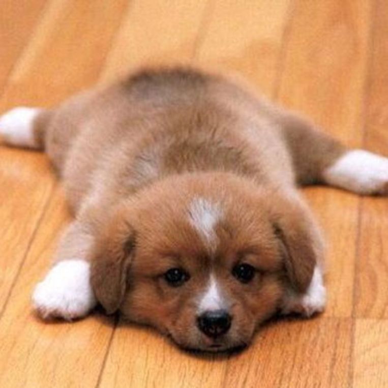 Leuke weekend plaatjes! | Libelle