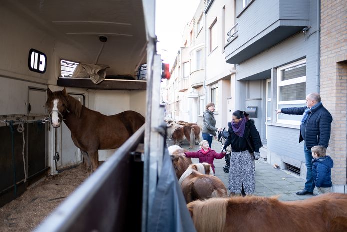 Na ‘coronapauze’ in 2020: Willebroek Jaarmarkt pakt weer uit met volledig programma | Willebroek ...