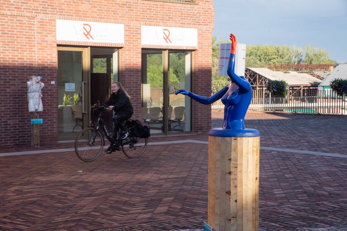 Academie palmt Rode Heuvel in met handen en beelden | Wetteren | hln.be