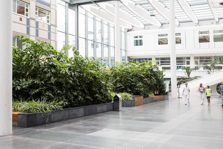 Het paradijselijke Erasmus MC in Rotterdam biedt patiënten een helende ...