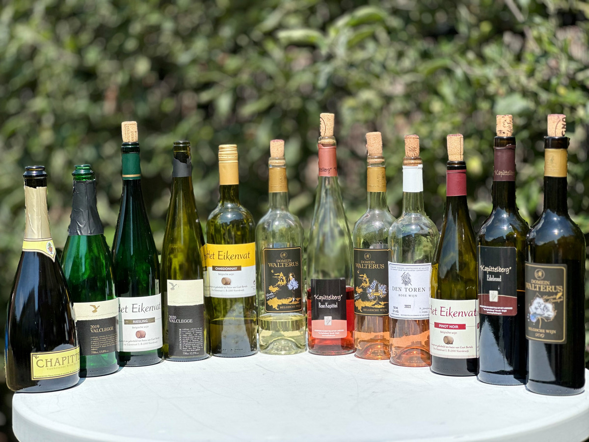 UITGETEST. Wijnen uit de Kempen. Deel 1, bubbels en wit: “We ruiken ook ...