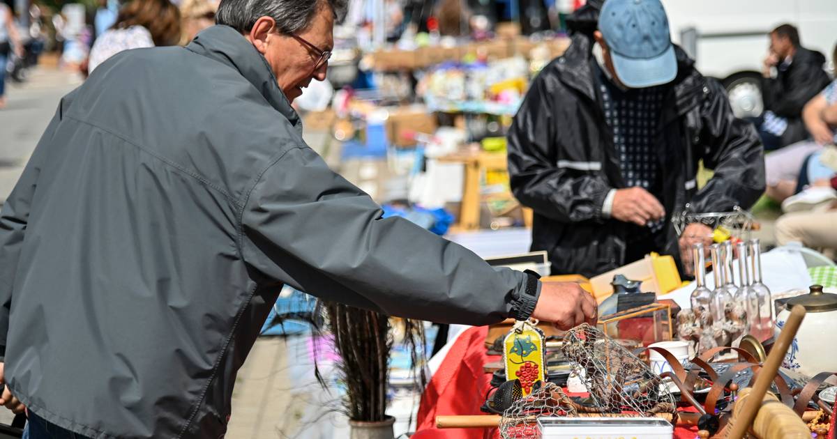Vanaf zondag 5 juli weer elke zondag rommelmarkt op ’t Kaaiken | Eeklo | hln.be