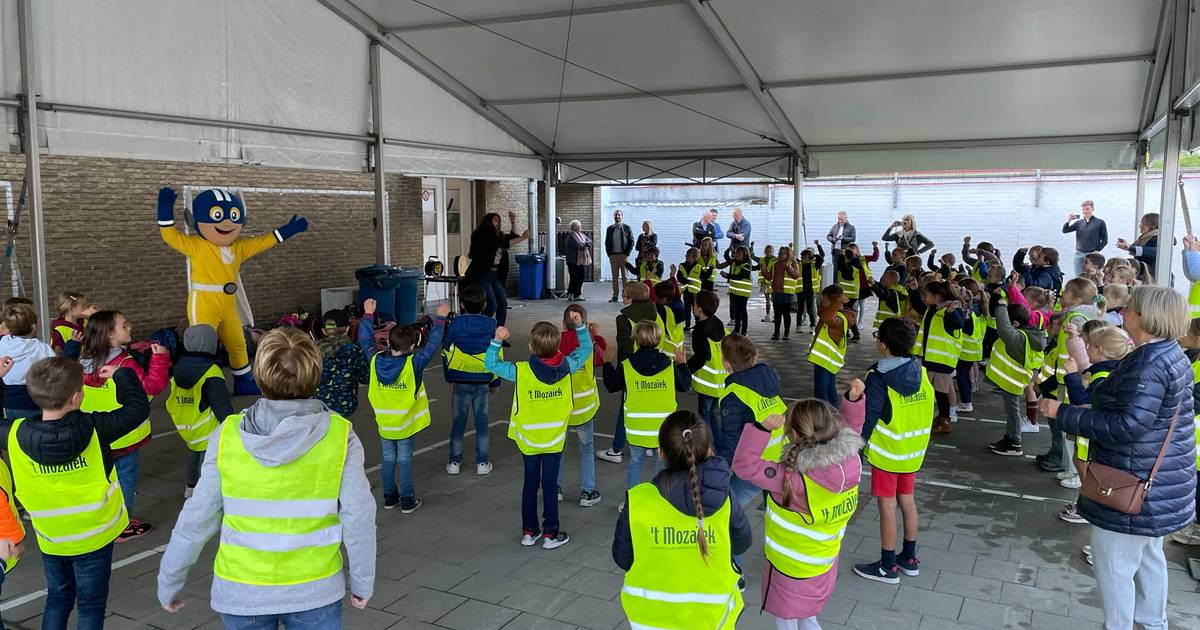 High Five project afgetrapt in GBS 't Mozaïek: “We zoeken een middel om ...