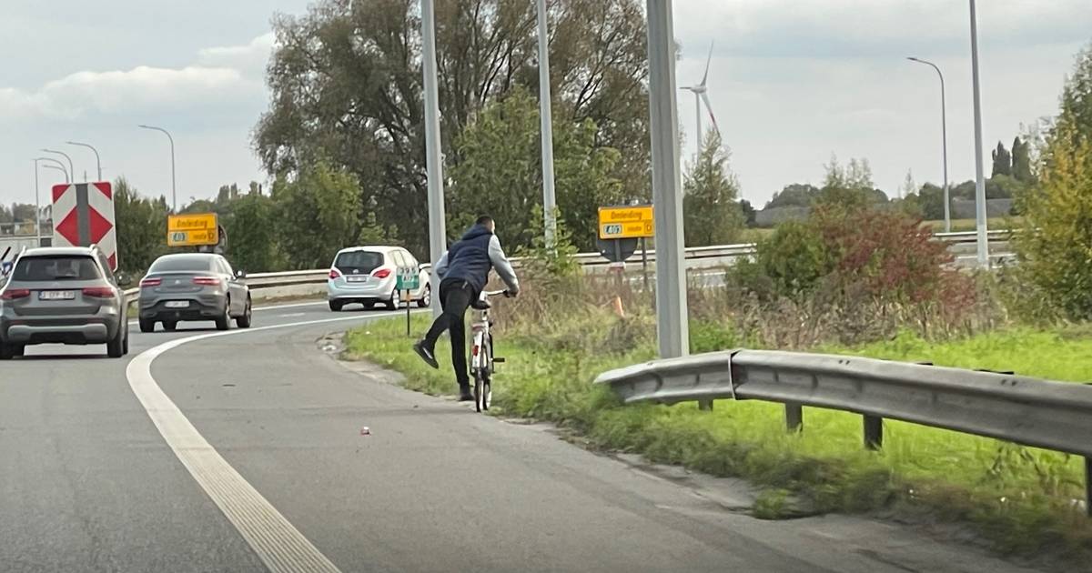 Fietser rijdt op pechstrook E403 en neemt afrit in Izegem | Izegem | hln.be