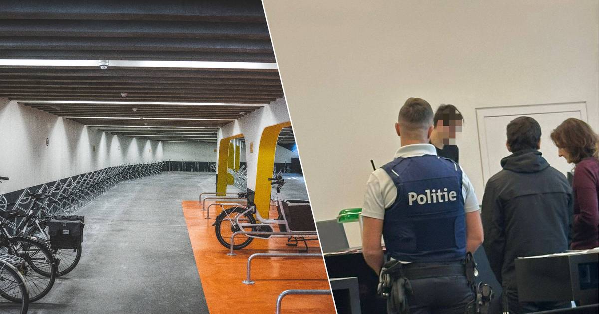 Piepjonge dief (19) steelt fietsen, steps en ... een scootmobiel van ...