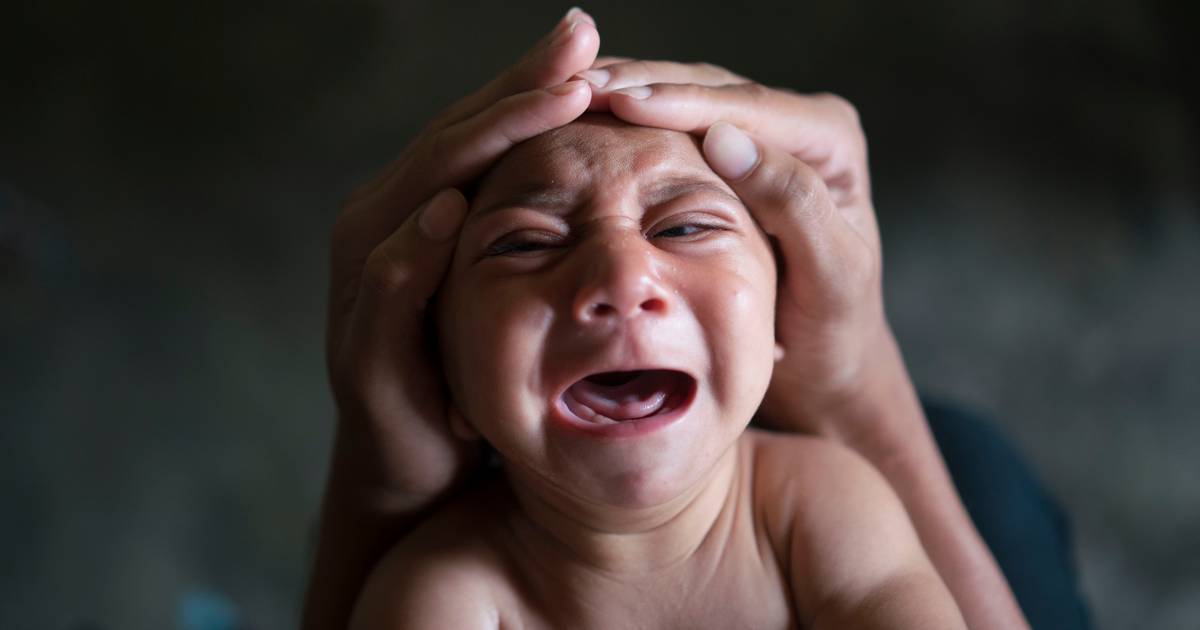 "Zikavirus niet de oorzaak van misvormde baby's maar wel insecticiden ...