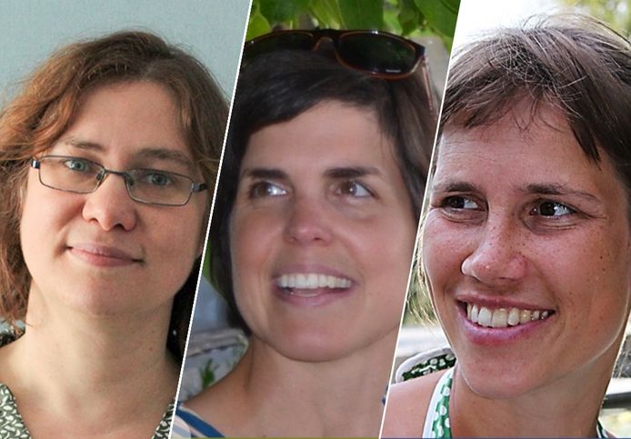 Zonnehoed in Nederzwalm komt met all-in formule als voorbereiding op ...