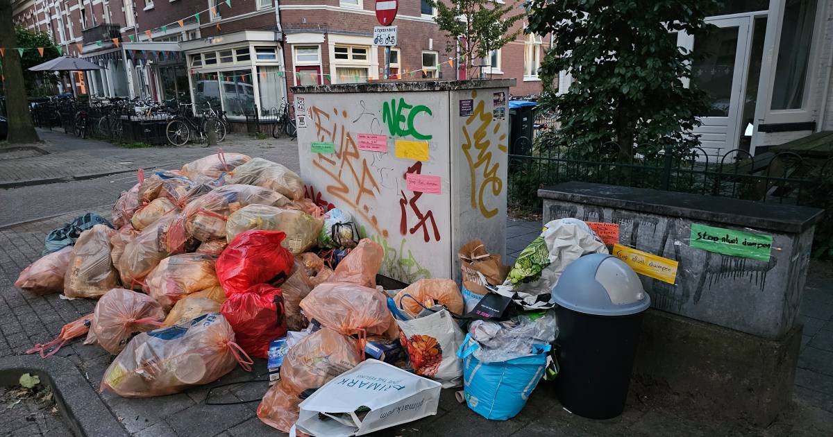 Overal slingert vuilnis rond, wat gaat Nijmegen doen tegen al die troep ...