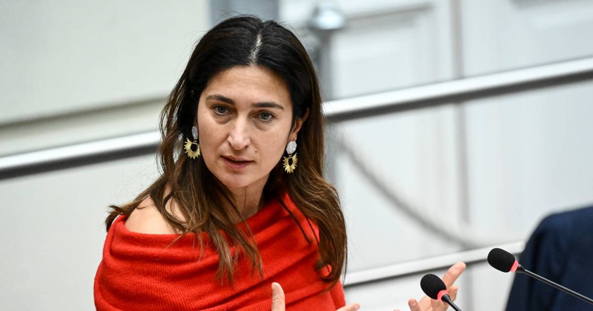 Zuhal Demir (N-VA) niet akkoord met Europees klimaatpakket, maar pikt ...