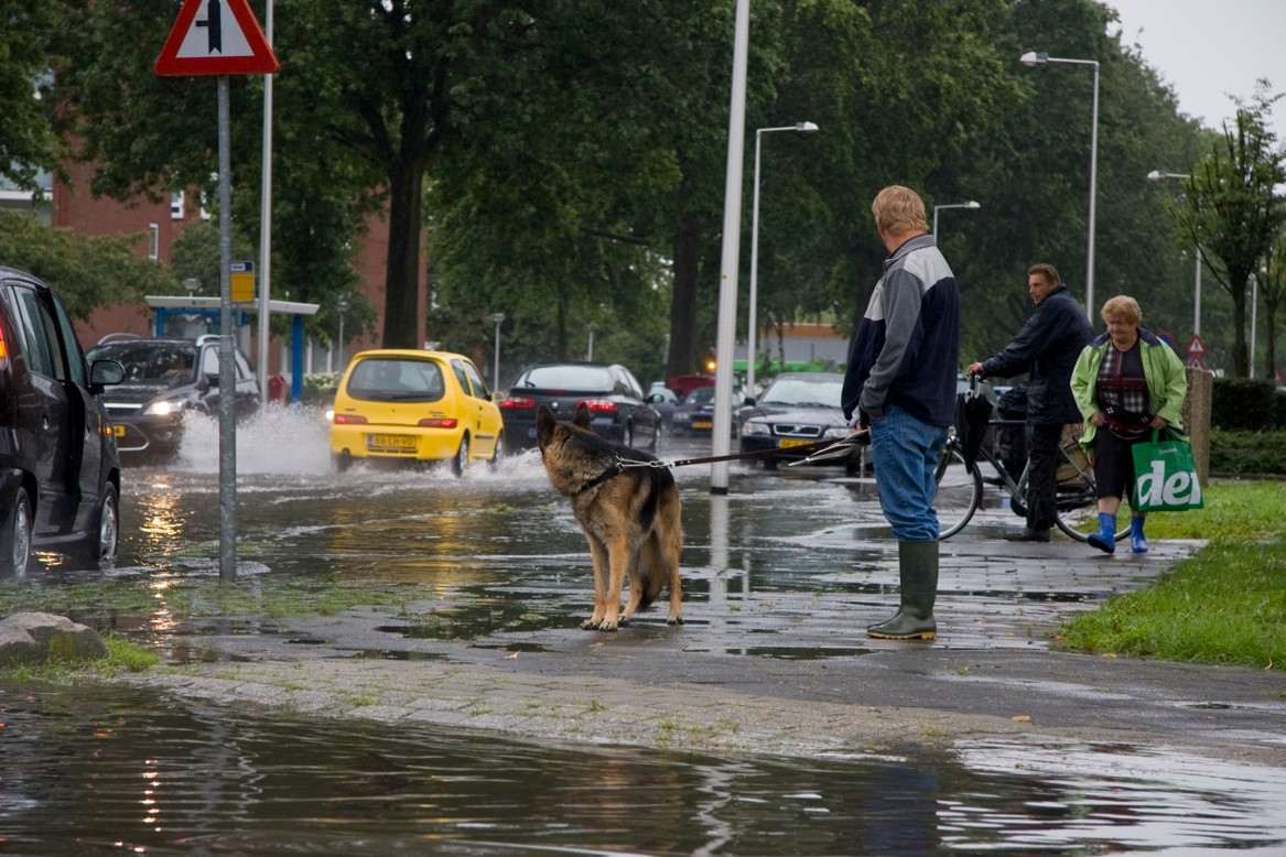 Wateroverlast in beeld | Foto | tubantia.nl
