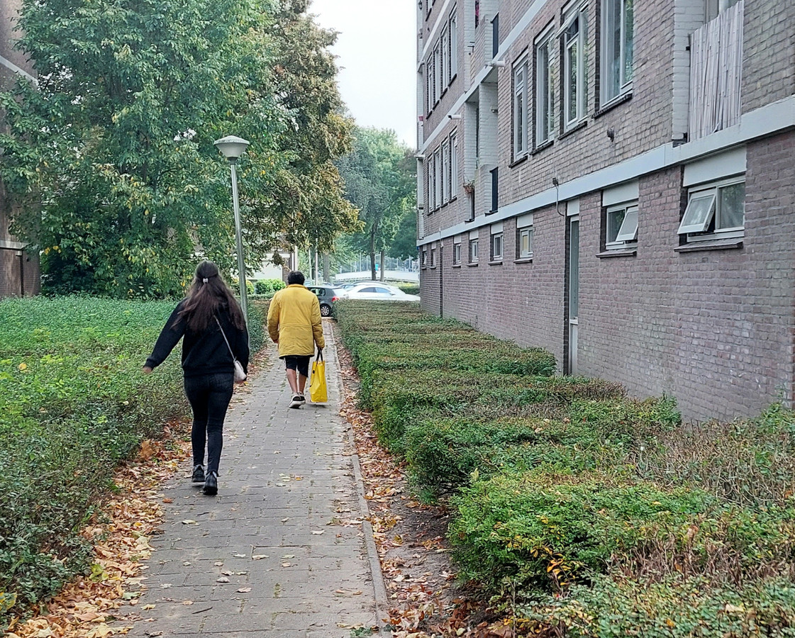 Verwarde buurman van Rachelle uit huis gezet en zwerft nu op straat ...