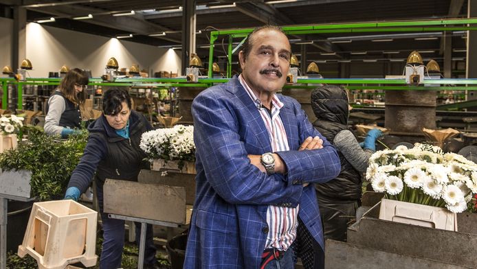 Grootste bloemenexporteur: Ze hebben m'n koninkrijk afgepakt ...