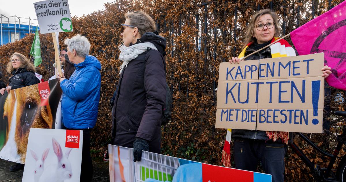 Activisten demonstreren bij dierproefcentrum in Den Bosch: ‘Mijn maag ...