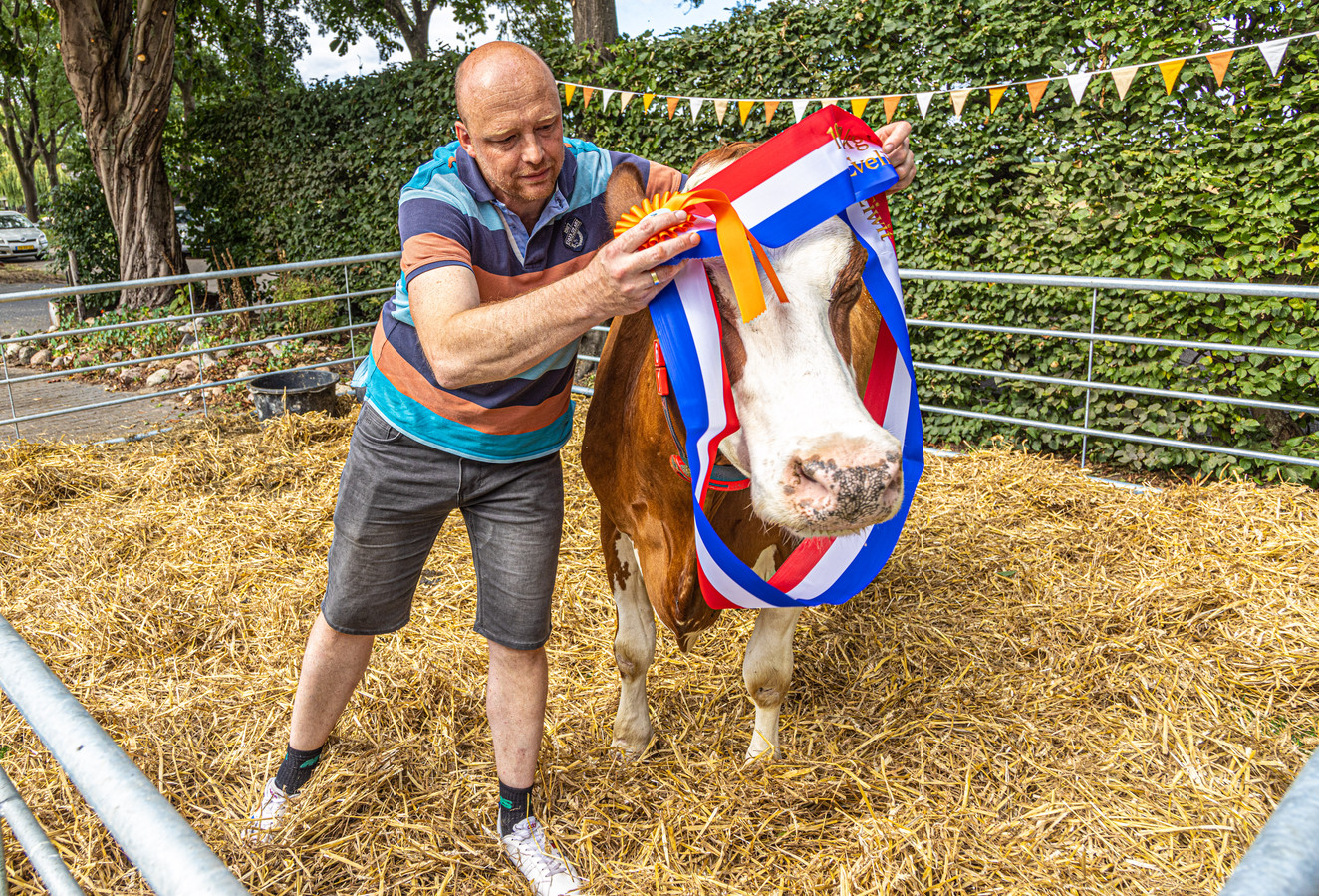Boer Bert-Jan in Zwolle is ‘knettertrots’ op tientonner Evelien 43 ...