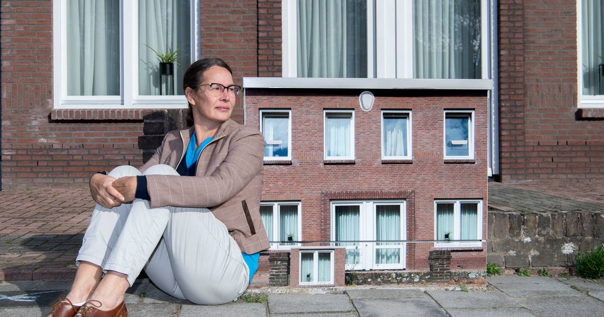 Jet Broekstra maakt in Enschede lelijke trafohuisjes mooi: ‘Vroeger ...