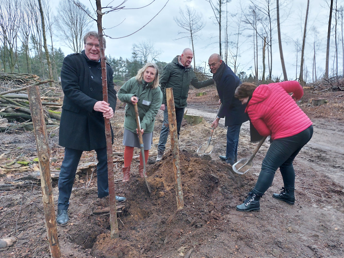 Acht maanden na vernietigende valwind in Leersum: herstel is begonnen ...