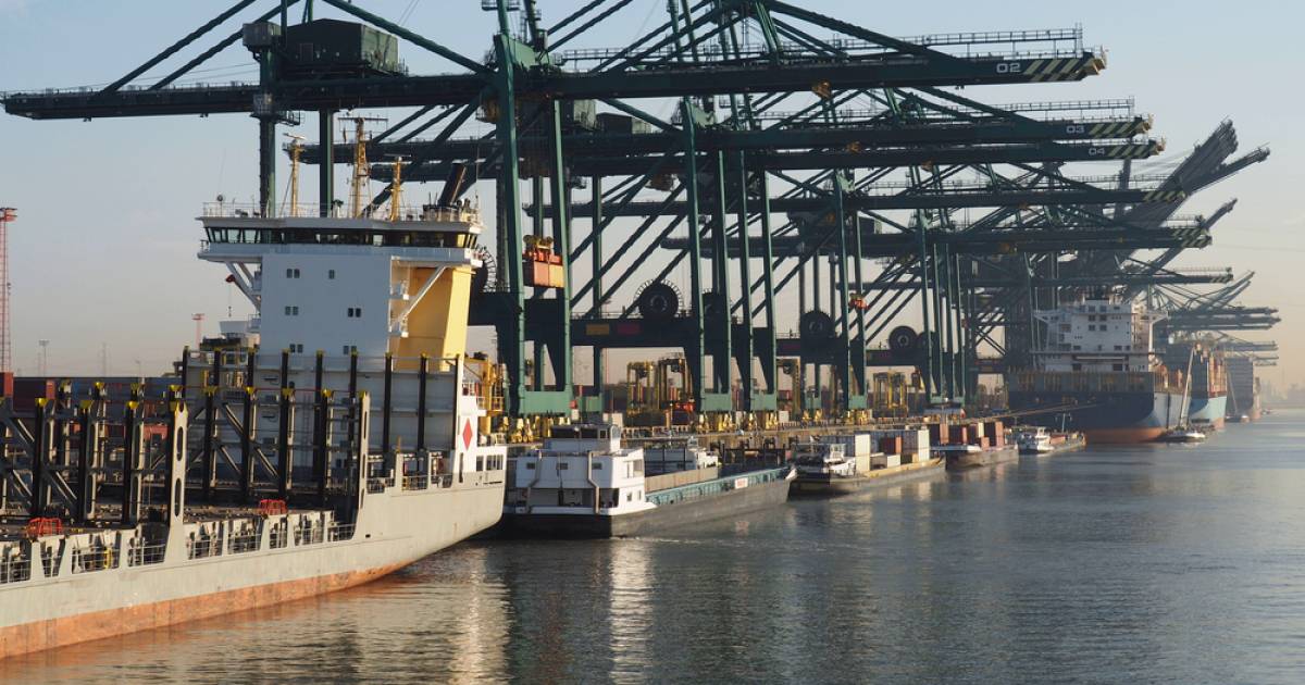 La douane veut scanner tous les containers au port d'Anvers pour lutter ...