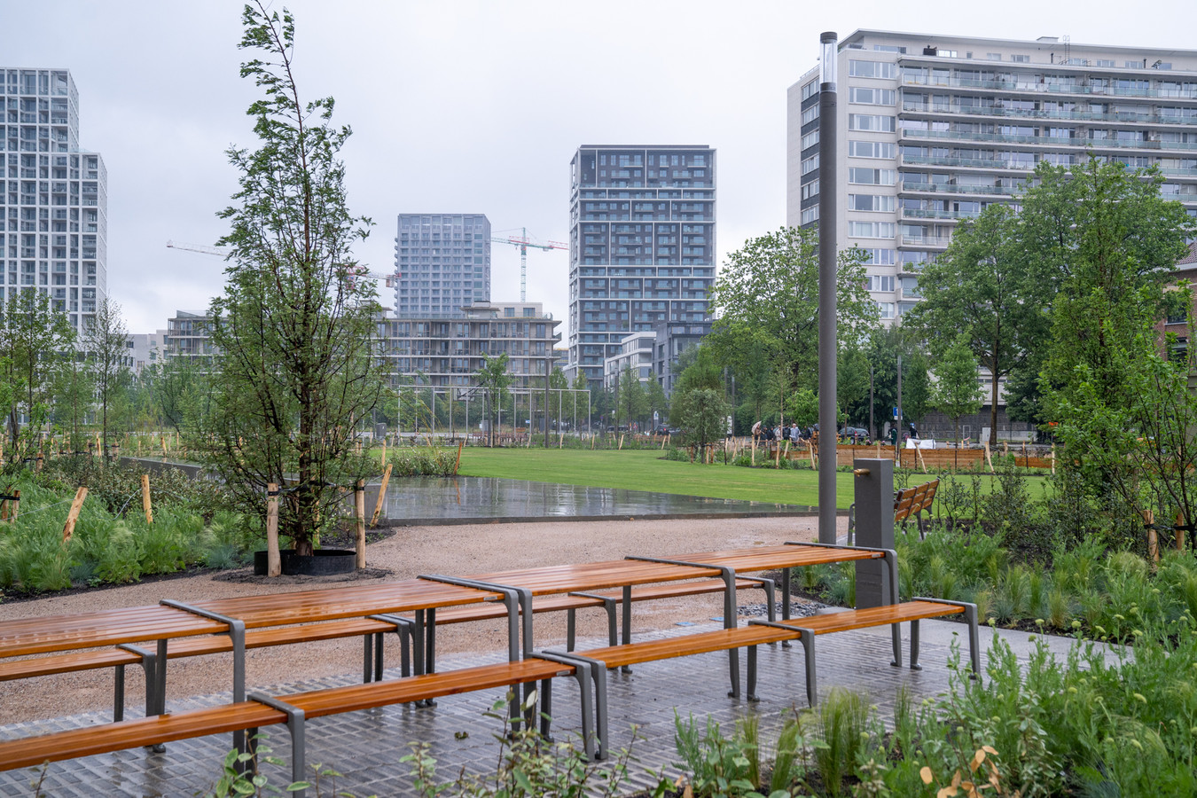 Nieuw park op Zuid krijgt de naam 'Zuidpark’ | Foto | hln.be