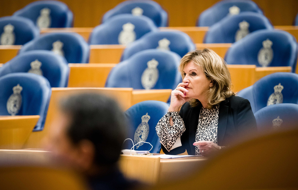 Pia Dijkstra (D66) vertrekt als Kamerlid | Trouw