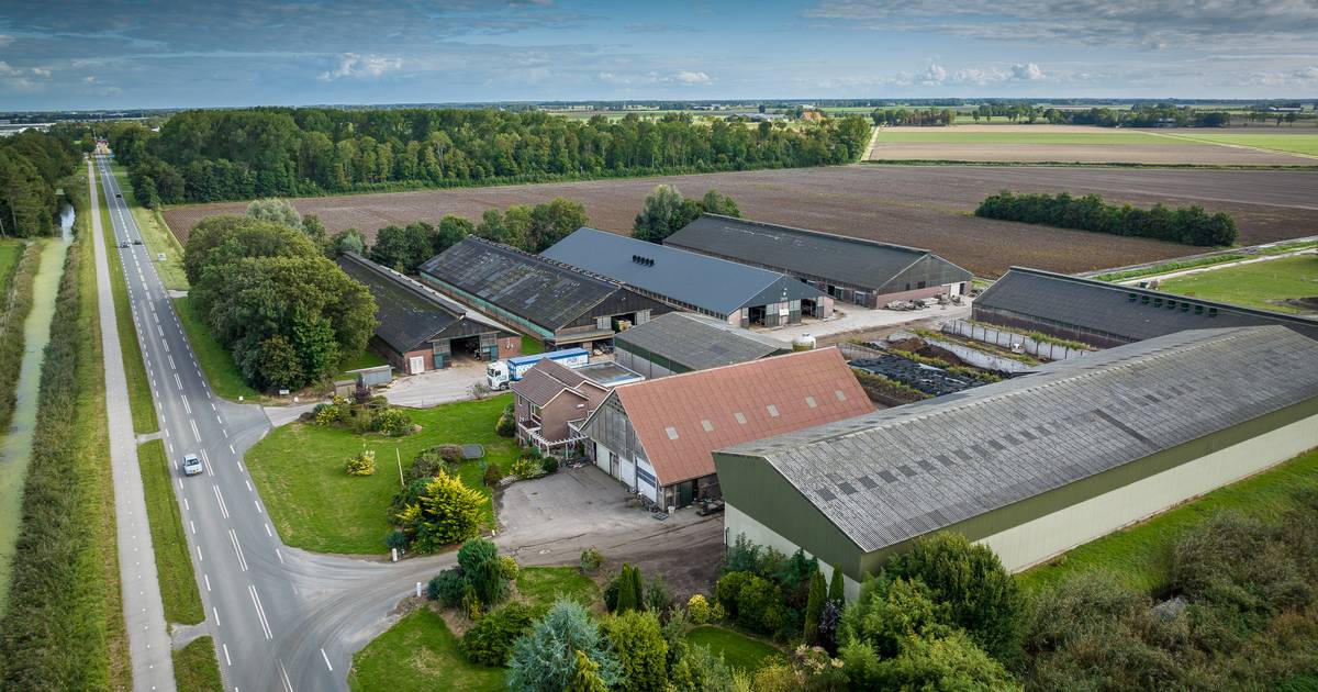 Na aanmeldcentrum heeft COA nu nieuw plan in Noordoostpolder: ‘Ik wist ... Na aanmeldcentrum heeft COA nu nieuw plan in Noordoostpolder: ‘Ik wist ...