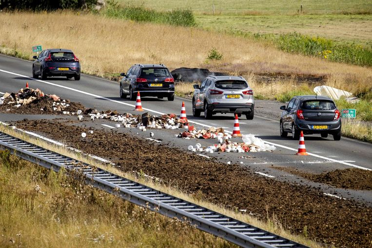 ‘Dit gaat allang niet meer over stikstof’: hoe het protest van ...