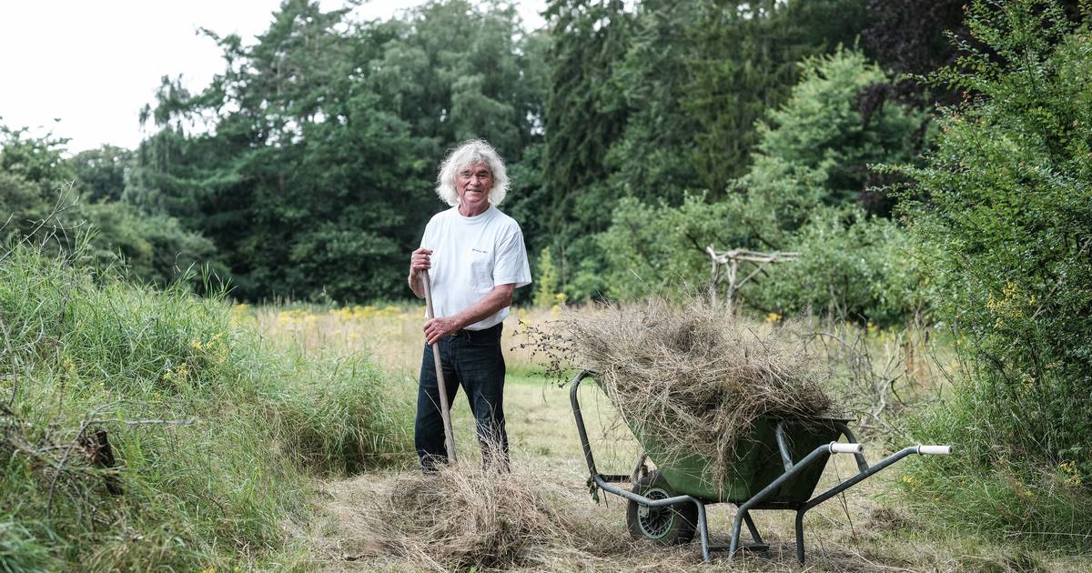 Hans Keuper (78) denkt en droomt in dialect: ‘Ik strijd voor behoud van ...