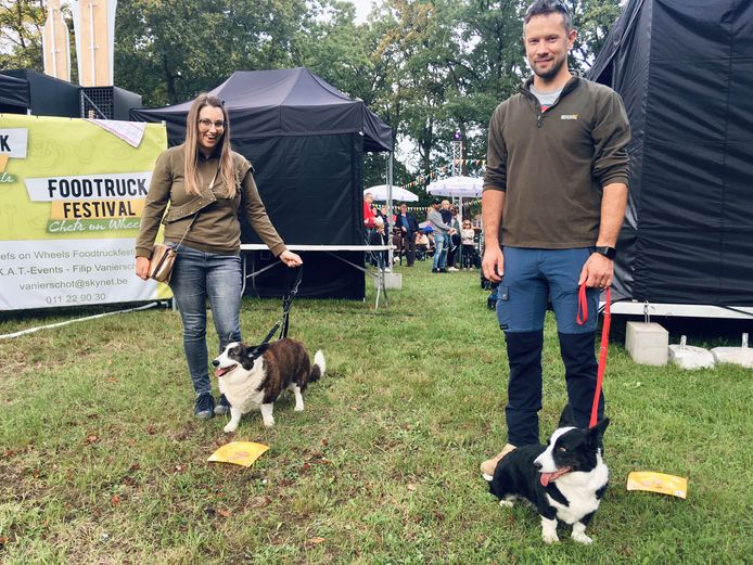 IN BEELD. Honderd hondenbaasjes doen mee aan nationale Corgiwandeling ...