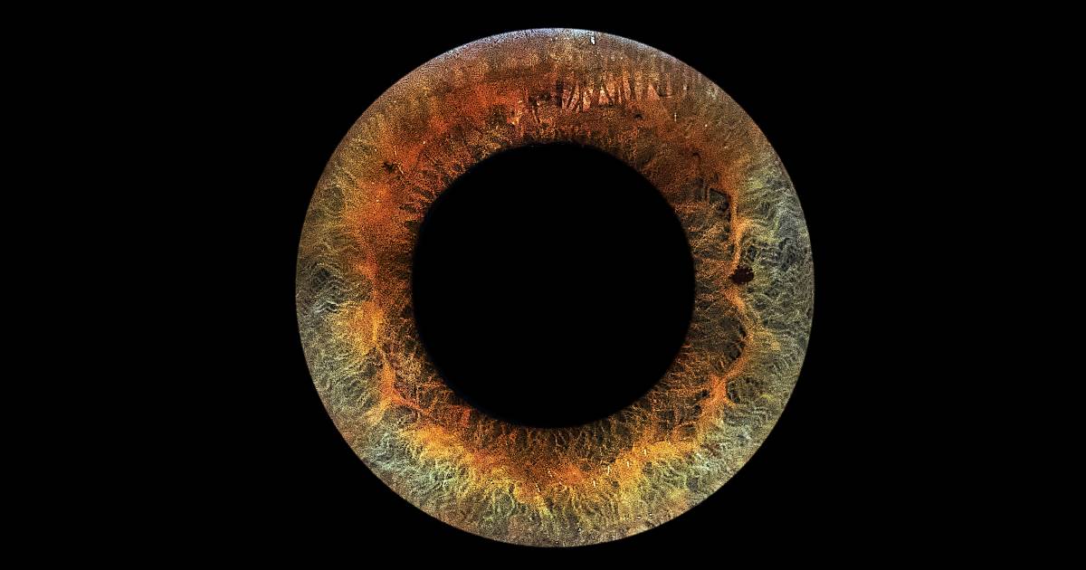 Een nieuwe kijk op je oog: in Huissen kun je deze bijzondere foto laten ...