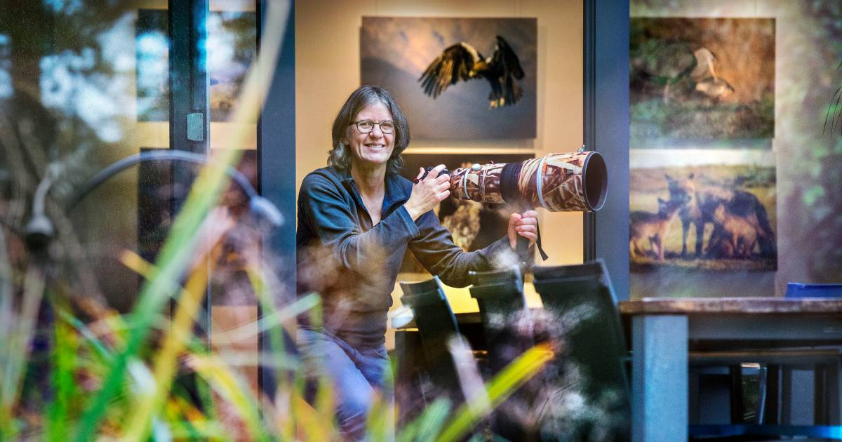 Van succesvolle zakenvrouw tot vogelaar: Inge (62) maakte ...
