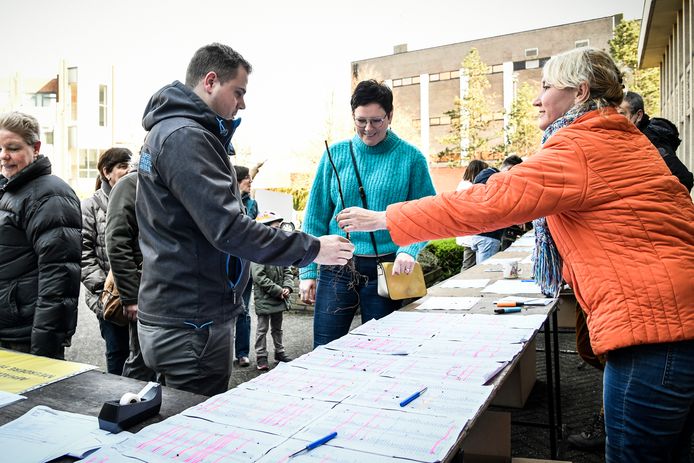 Inwoners reageren massaal op actie ‘Lof voor elke Hof’: stad bedeelt ... Inwoners reageren massaal op actie ‘Lof voor elke Hof’: stad bedeelt ...