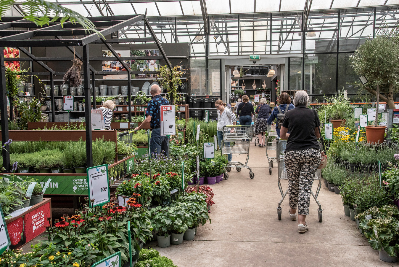 Niet op vakantie? Dan maar investeren in je tuin | Foto | gelderlander.nl