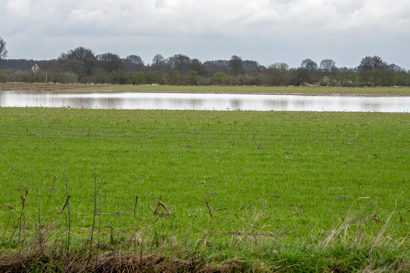 Boeren worstelen met natte grond, trekkers lopen vast: ‘Het is ...